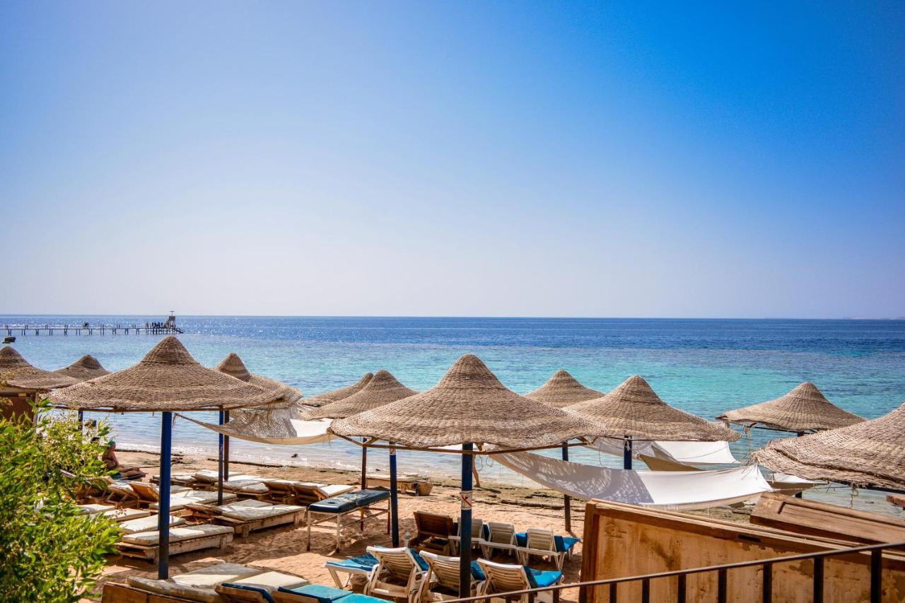 DIVE INN RESORT SHARM EL-SHEIKH | 4-STAR ACCOMMODATION FROM $25